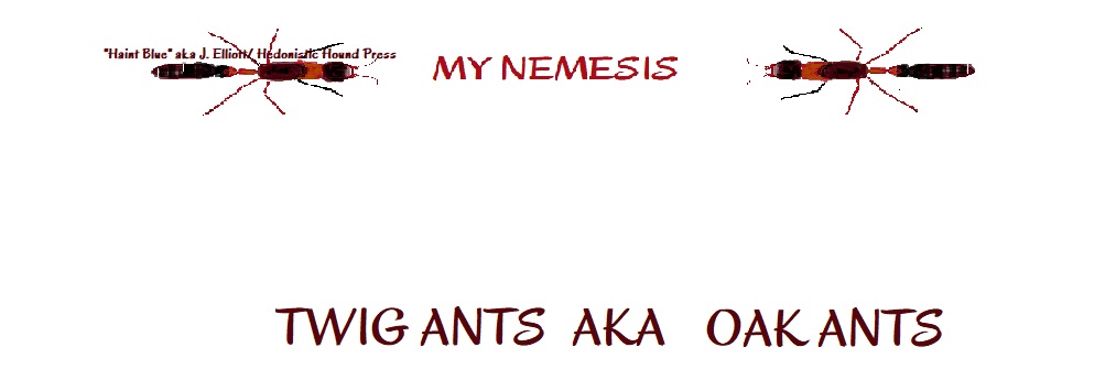Twig Ants / Oak Ants | Haint's Retreat