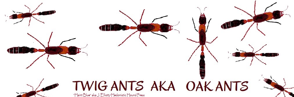 Twig Ants / Oak Ants | Haint's Retreat
